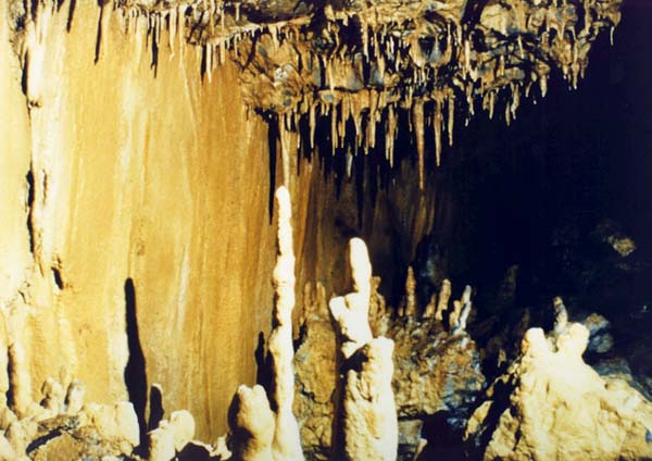 天究館 多賀の自然